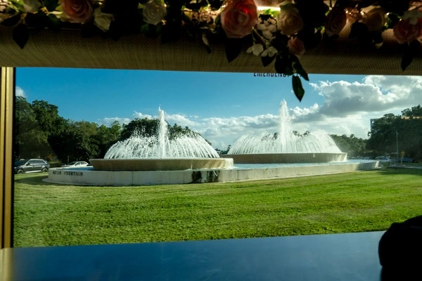 Tea Around Town® Houston | Tea Bus Houston by TopView® | Afternoon Tea ...